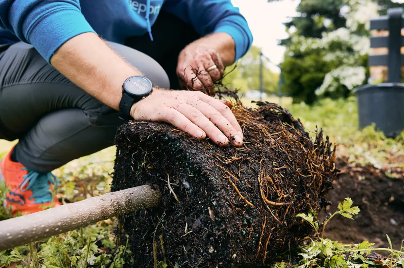 Tree & Shrub Planting - C.O. Landscape Inc