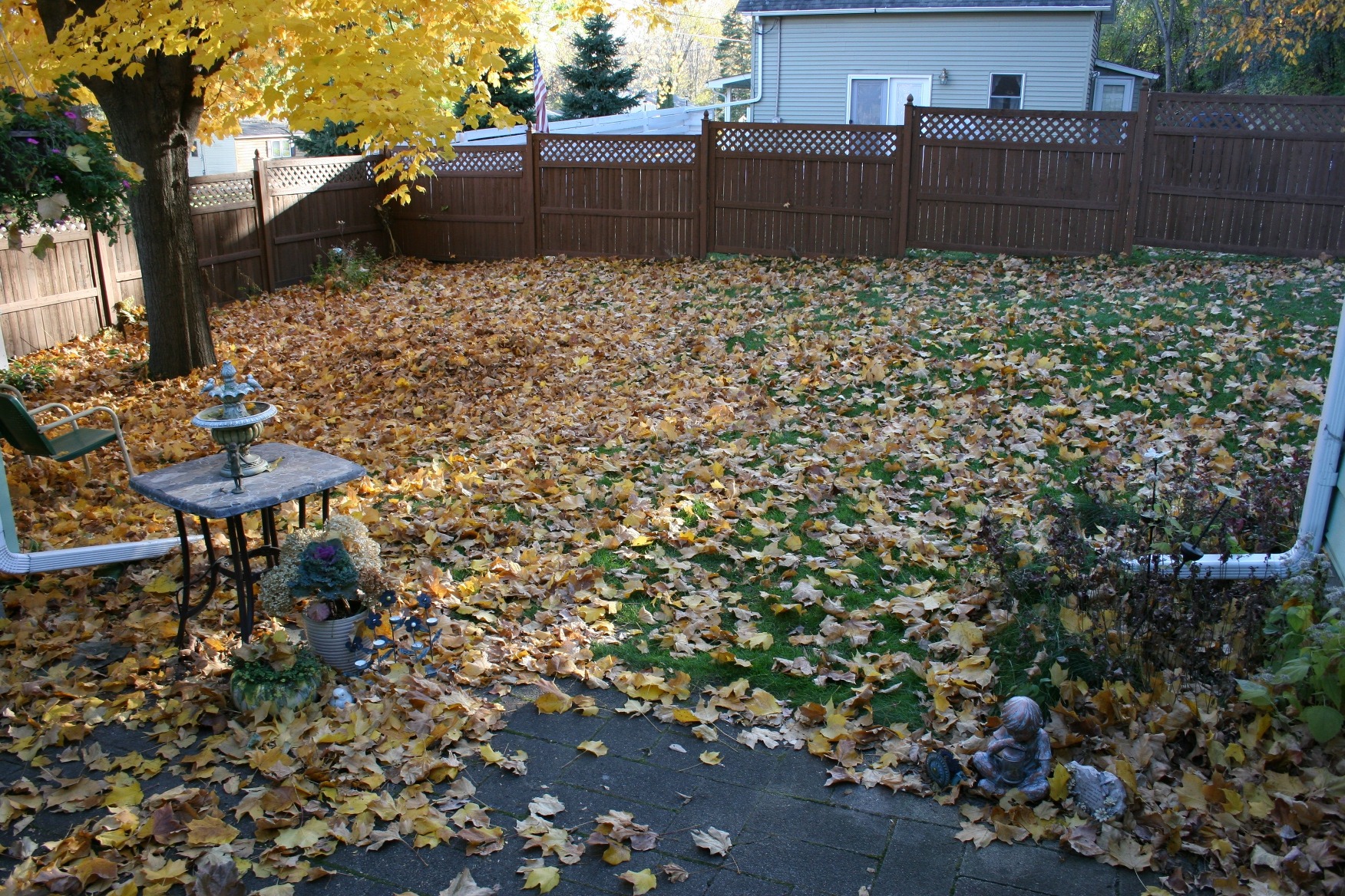 Why Clearing Leaves and Yard Debris in the Fall Matters - C.O ...